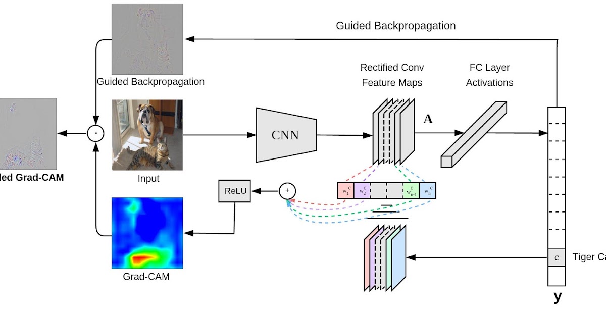 Grad-CAM Implementation in pycaffe
