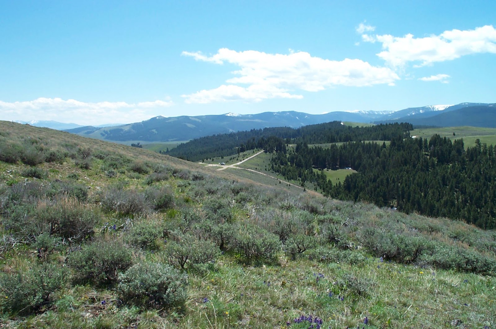 Stay on Trails: Six new OHV rides to explore in Idaho