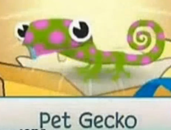 Animal Jam Graphic Central!: RIM + Pet Geckos?!?! + Everything that ...