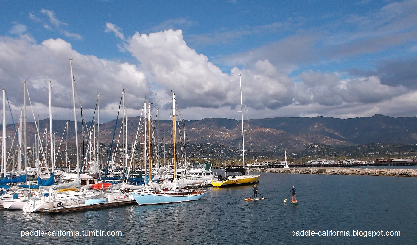 Santa Barbara Harbor SUP - Picture - Kayaking and Stand Up Paddle ...