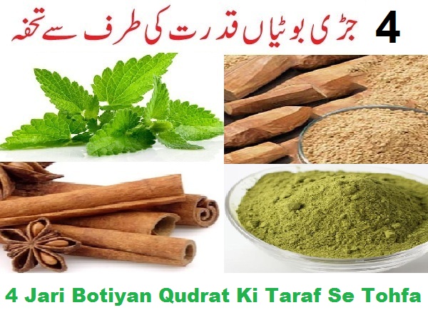 4 Amazing Herbs and Their Benefits in Urdu – Jari Booti - Kishmiish.com