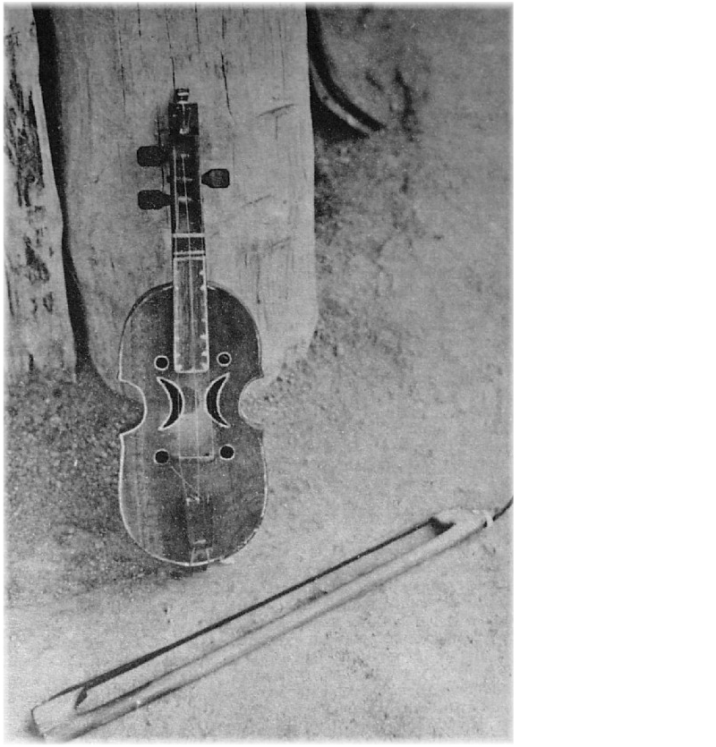 El Rabel : EL RABEL EN SUDAMÉRICA