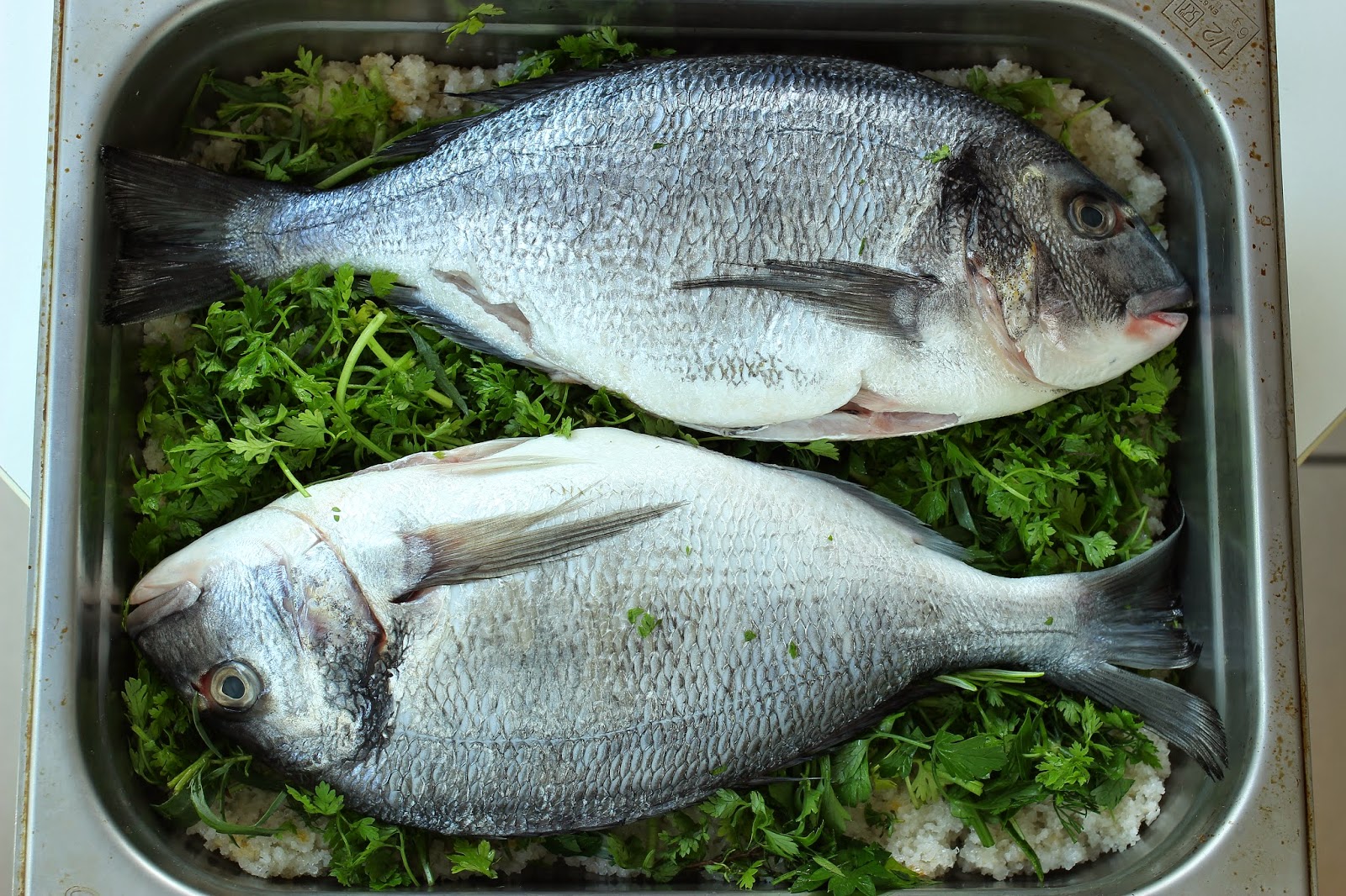 Dorade in zoutkorst - Dishcover