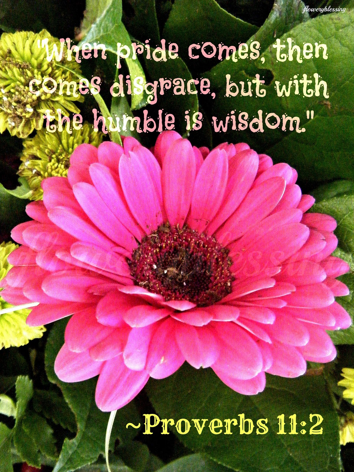 Flowery Blessing: "When pride comes, then comes disgrace, but with the ...