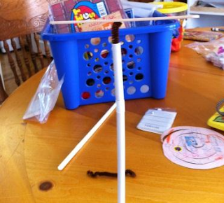 Gravity Snakes – The Learning Hypothesis