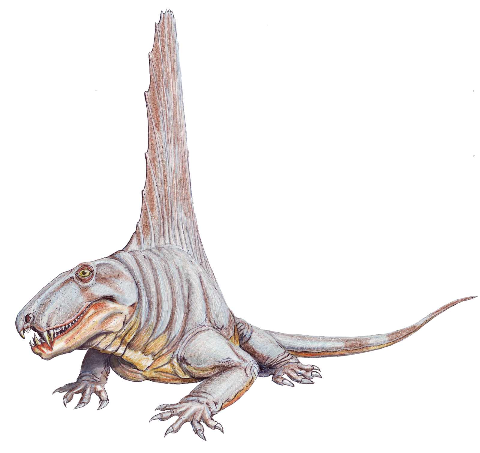 The Expeditioner's Discovery Guild: A little bit of Everything: Paleo ...