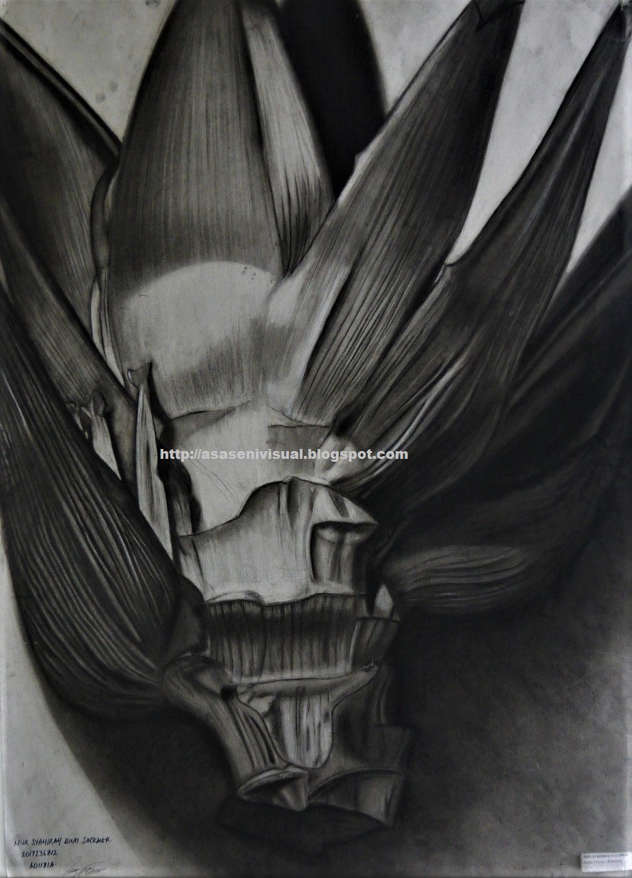 Asas Seni Visual, FSSR Uitm Perak: PAMERAN 'FUNCTIONAL GREEN PUBLIC ART ...