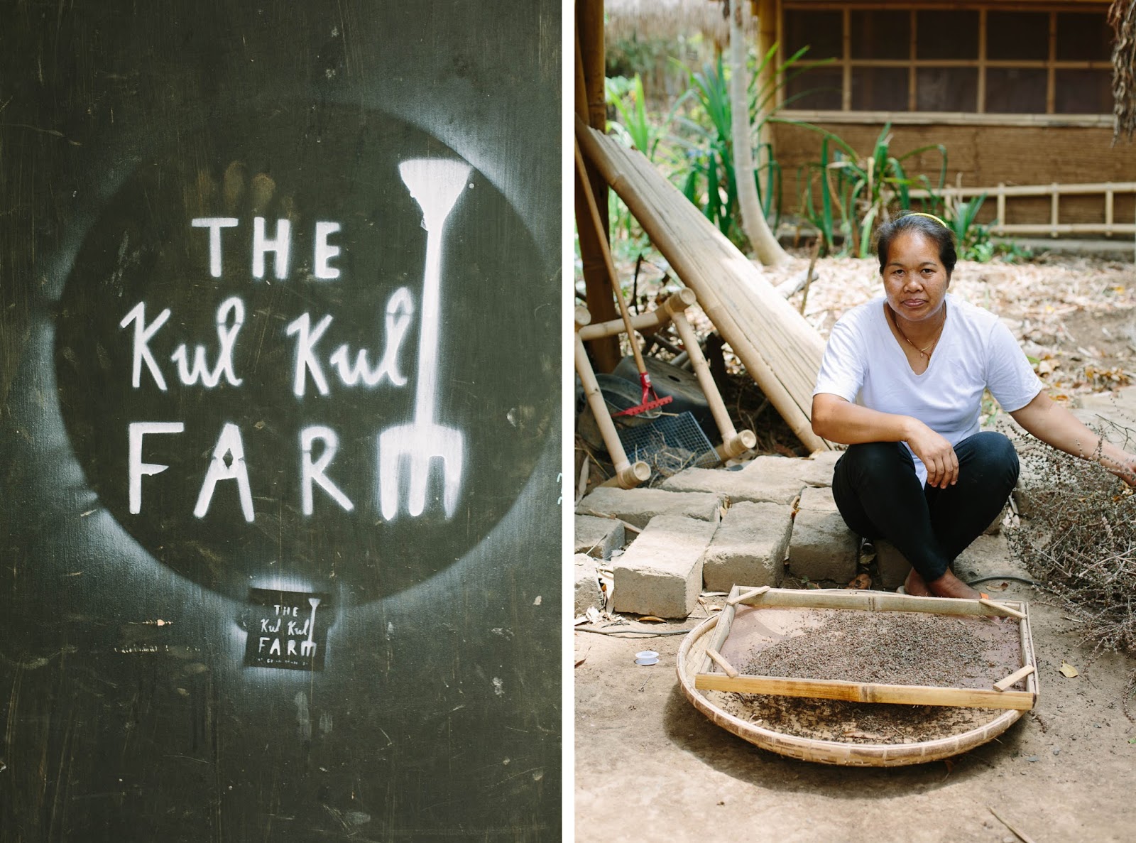 Indonesian-inspired choko curry + photos from Bali! – My Darling Lemon ...