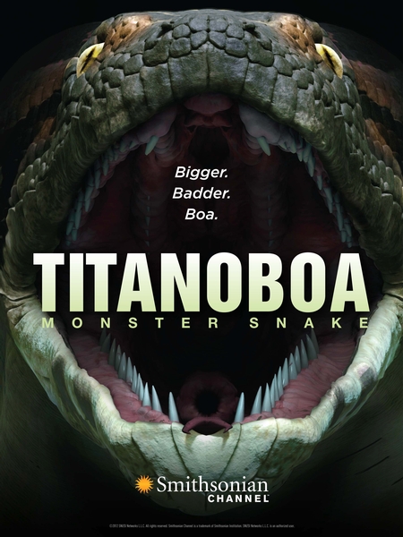 Titanoboa (Titanoboa Cerrejonensis) | World Of Snakes