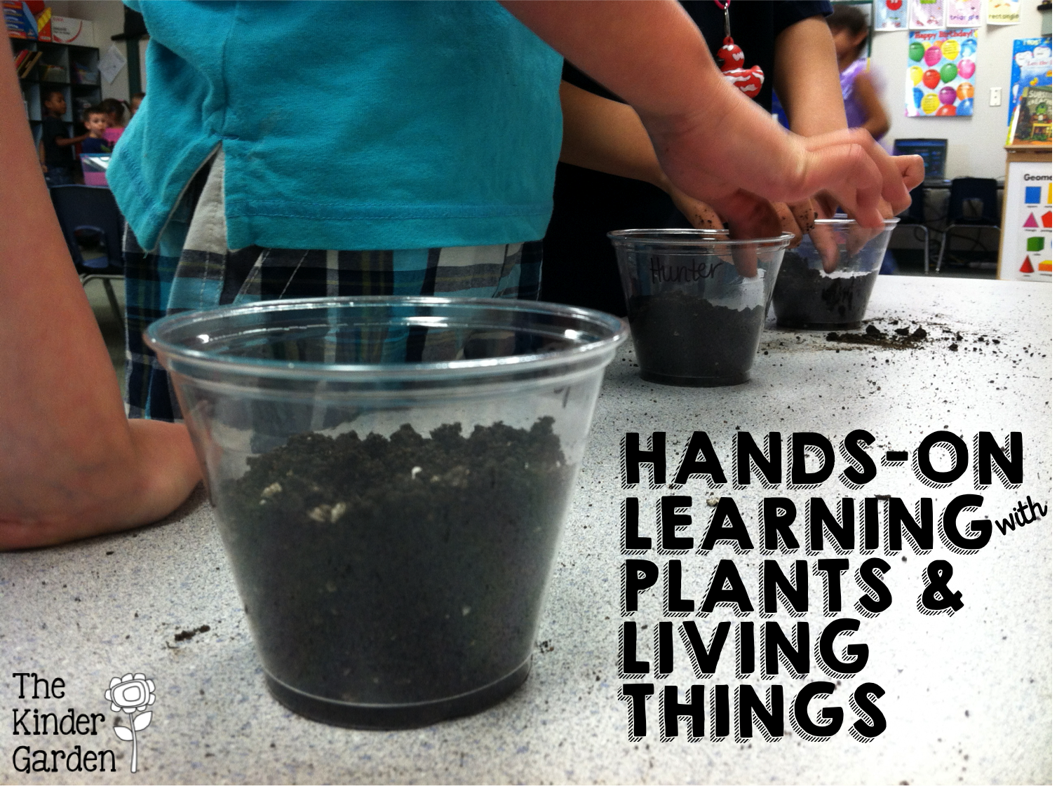 The Kinder Garden Plants And Living Things plus Freebies the-kinder-garden-plants-and-living-things-plus-freebies