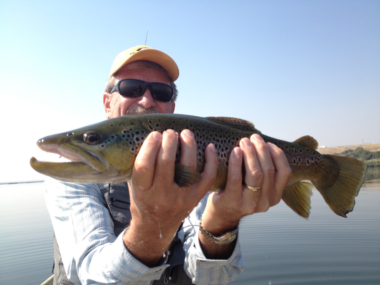 Click on image to enlarge or view as slideshow: