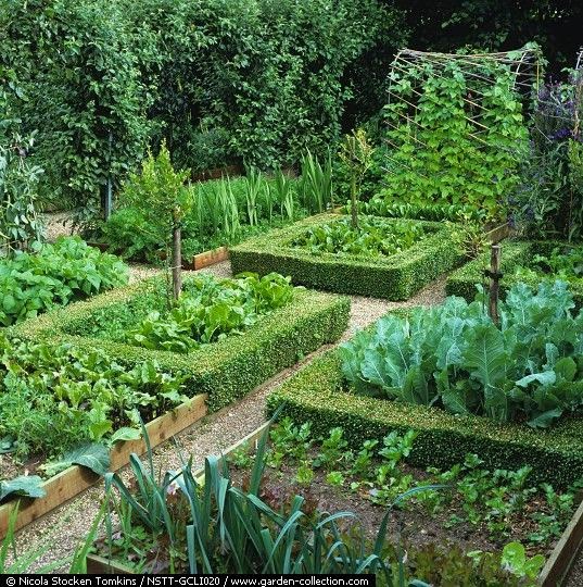 Willow Bee Inspired: Garden Design No. 18 - The Potager