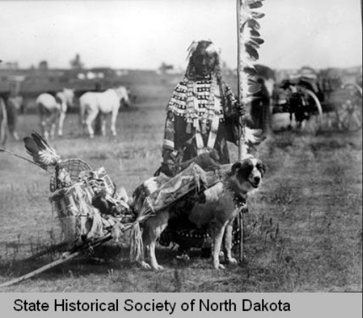 White Wolf : History and vintage photos of Native American dogs