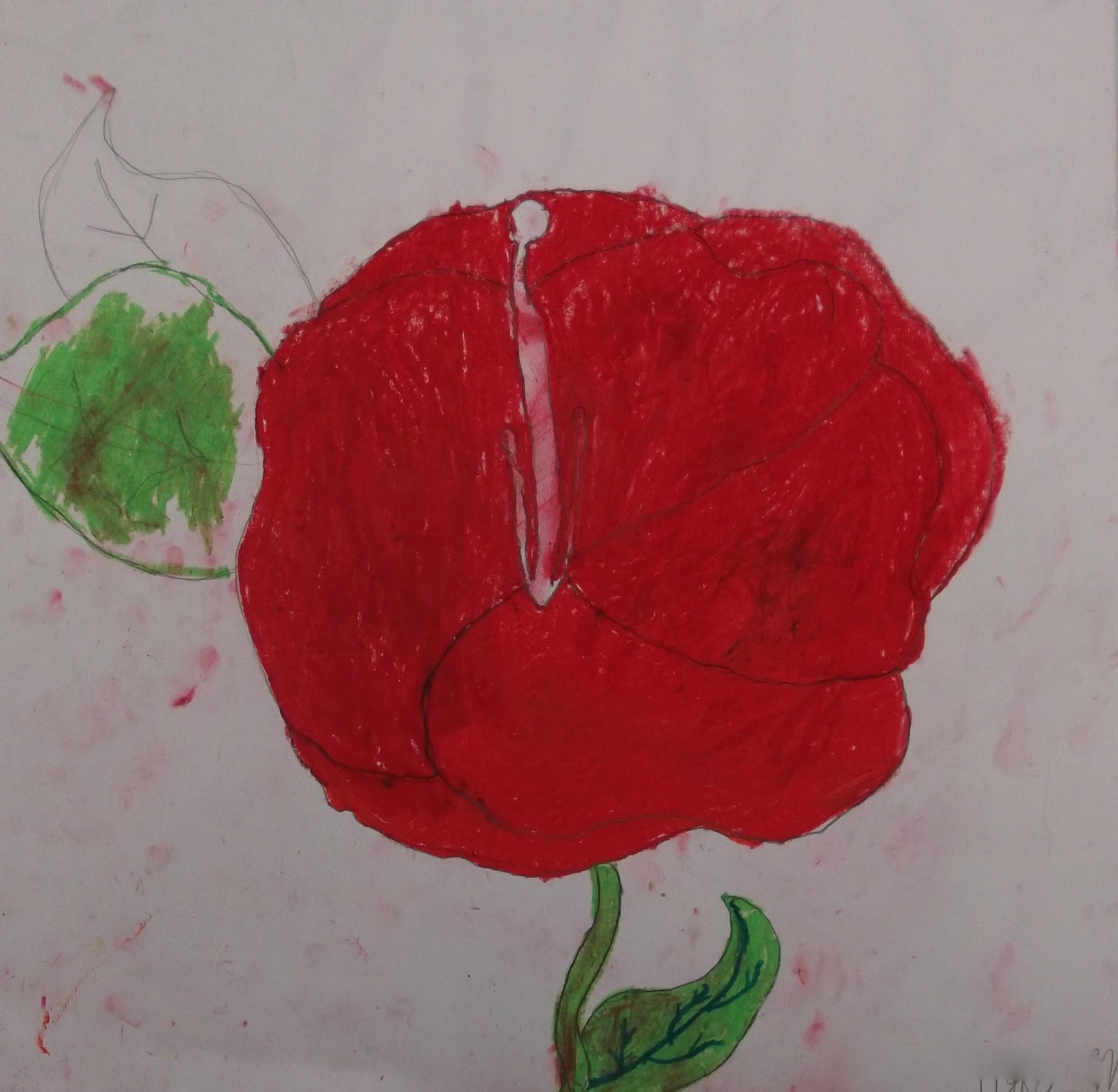 Artists For Kids: Goergia O'Keeffe Flowers - First Grade