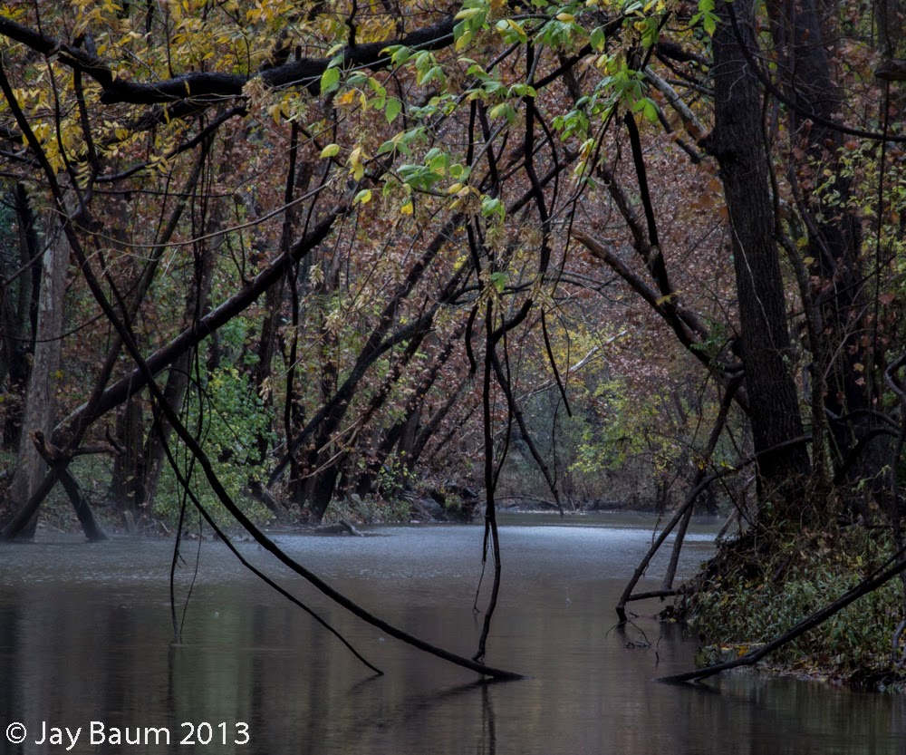 366 Project. Jay Baum. Photography.