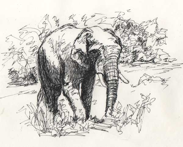 Kat Walk Designs: More Pen and Ink work with some Figures