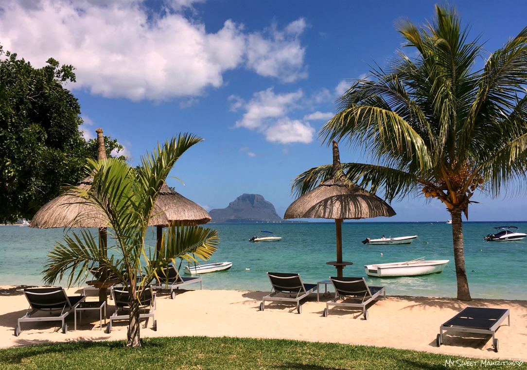 My Sweet Mauritius: MARIPOSA FACE AU MORNE