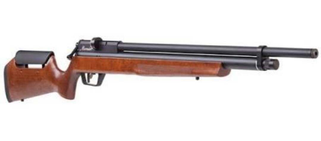 6 Jenis dan Model Senapan Angin PCP Di Indonesia yang di Gunakan Untuk ...