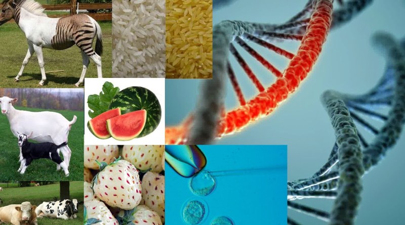 Manfaat Biologi - Homecare24