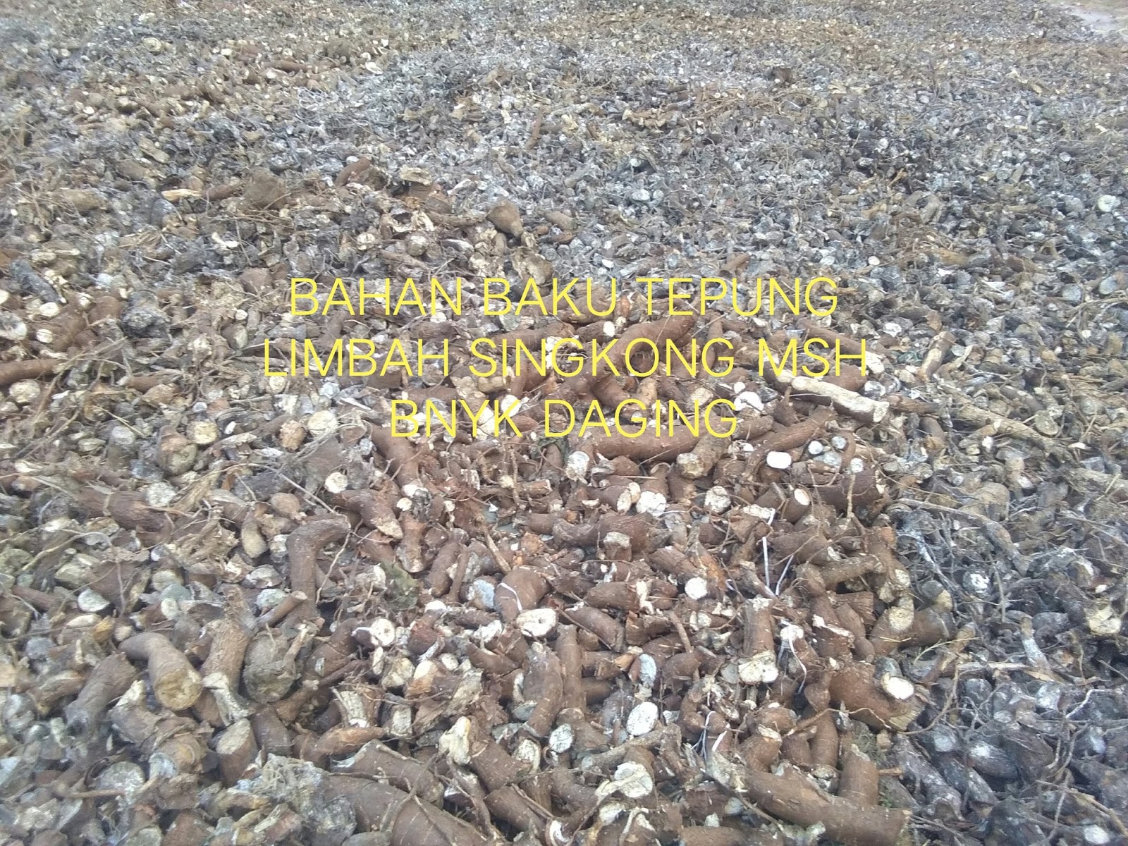 Jual Tepung Pongkol Limbah Singkong Super