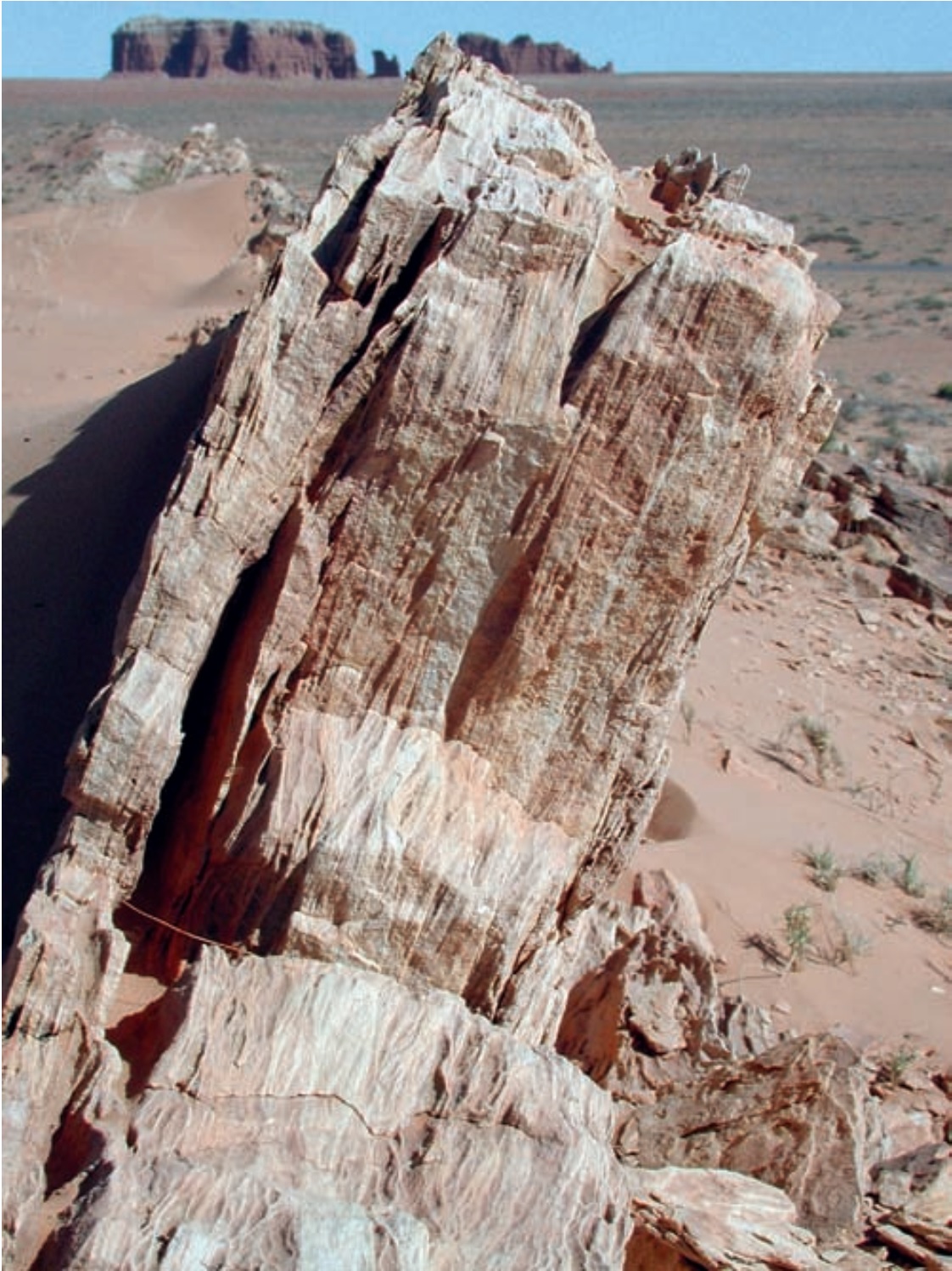 Learning Geology: Deformation bands and fractures in porous rocks