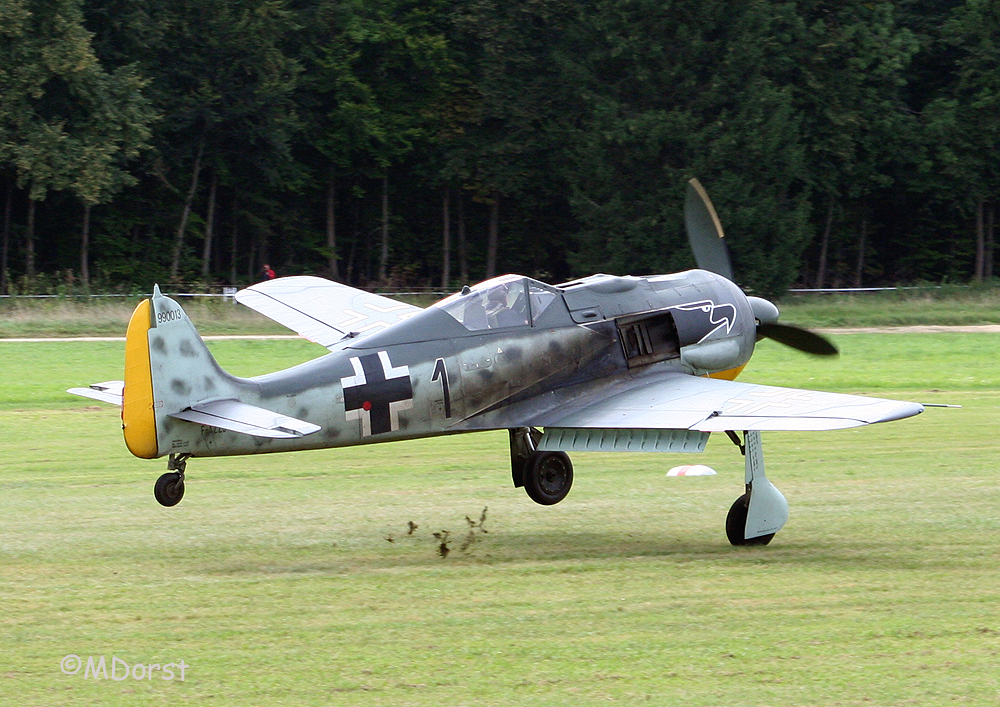 Guerra abierta: Réplicas actuales: Fw 190