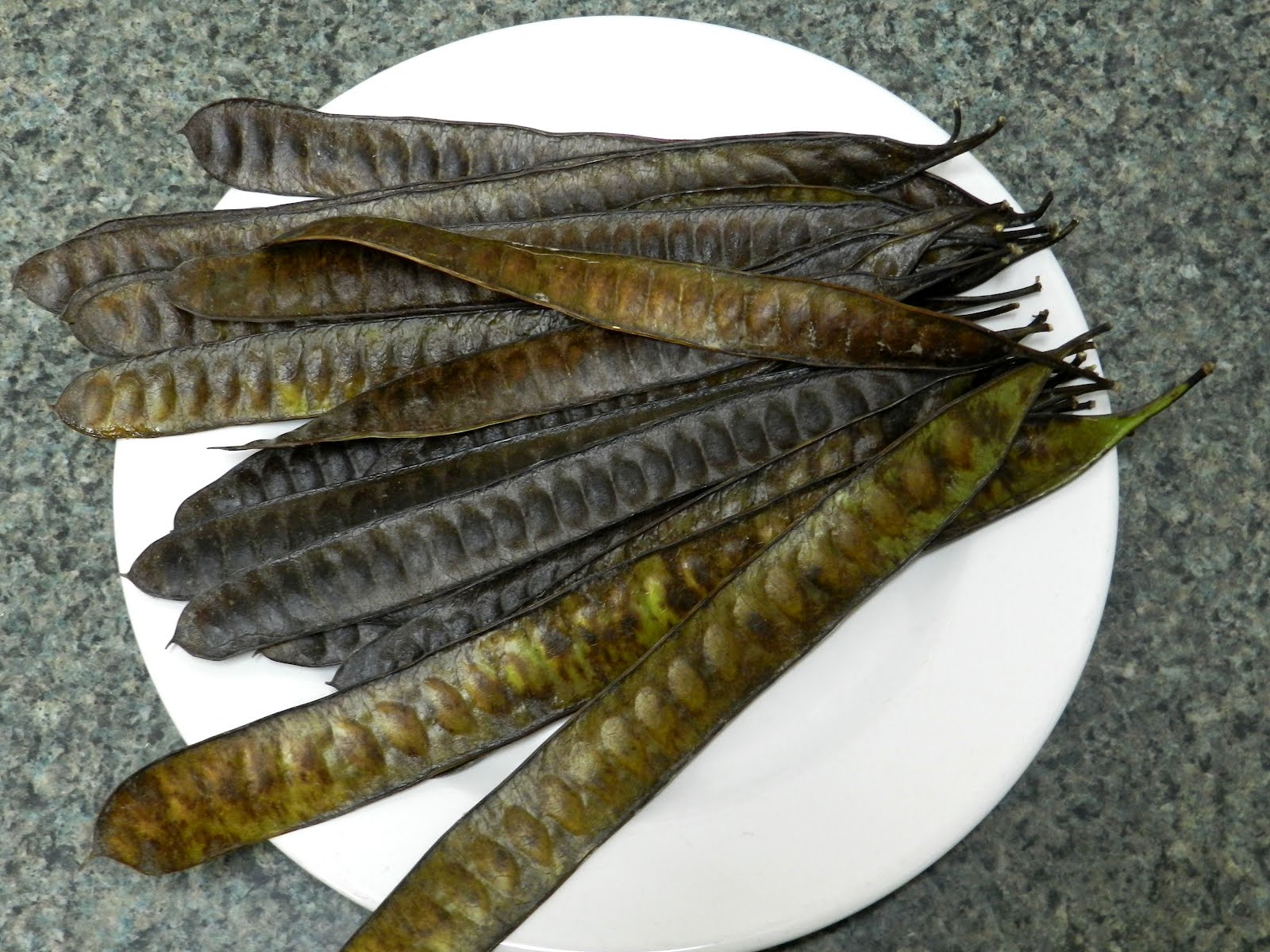 One Blog West: Alien Ingredient #22: Guaje