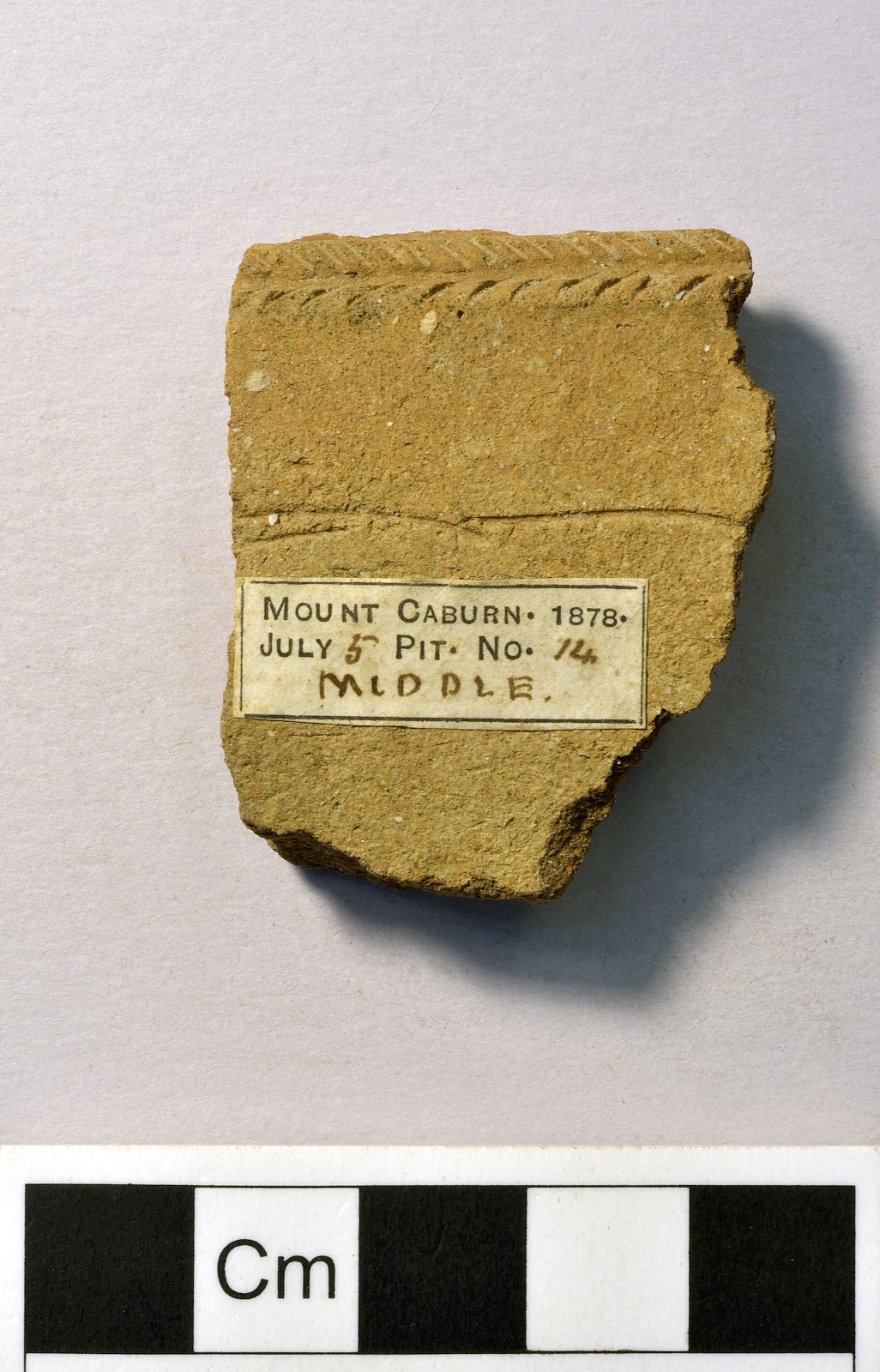 Excavating Pitt-Rivers: Pottery from Mount Caburn, East Sussex