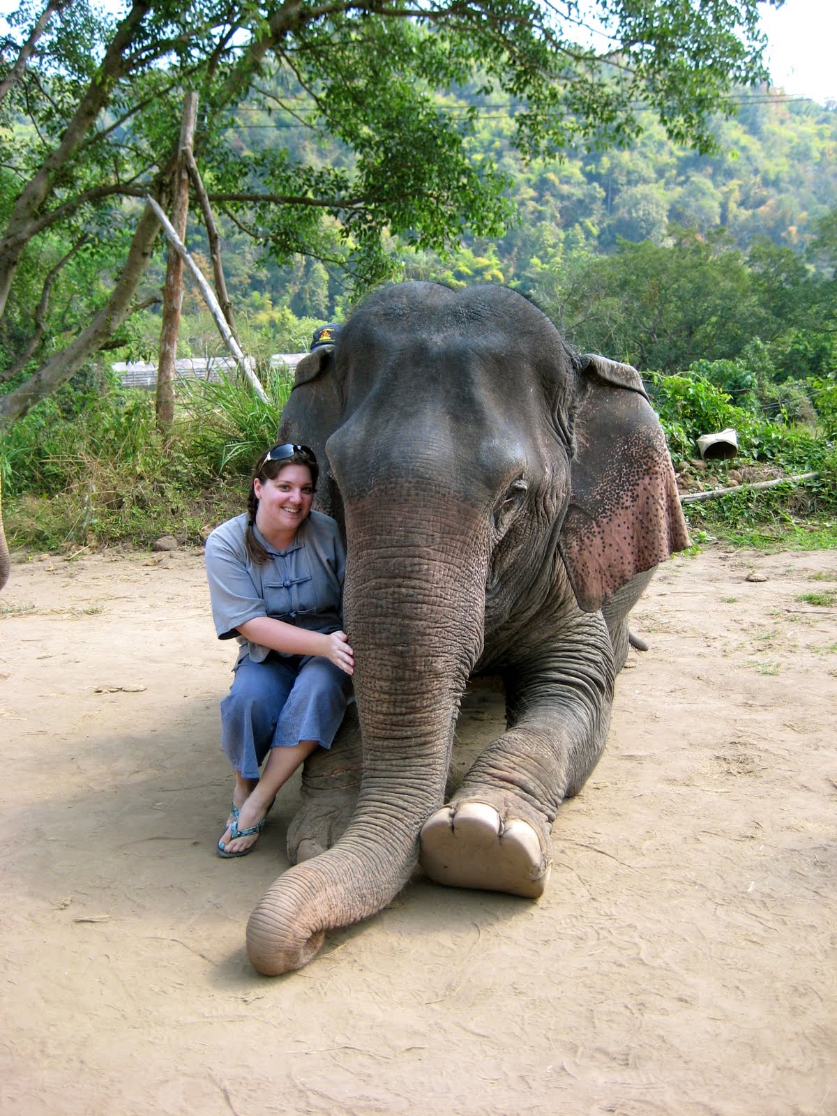 My Middle Eastern Adventure!: Elephant Escapade - Chiang Mai, Thailand