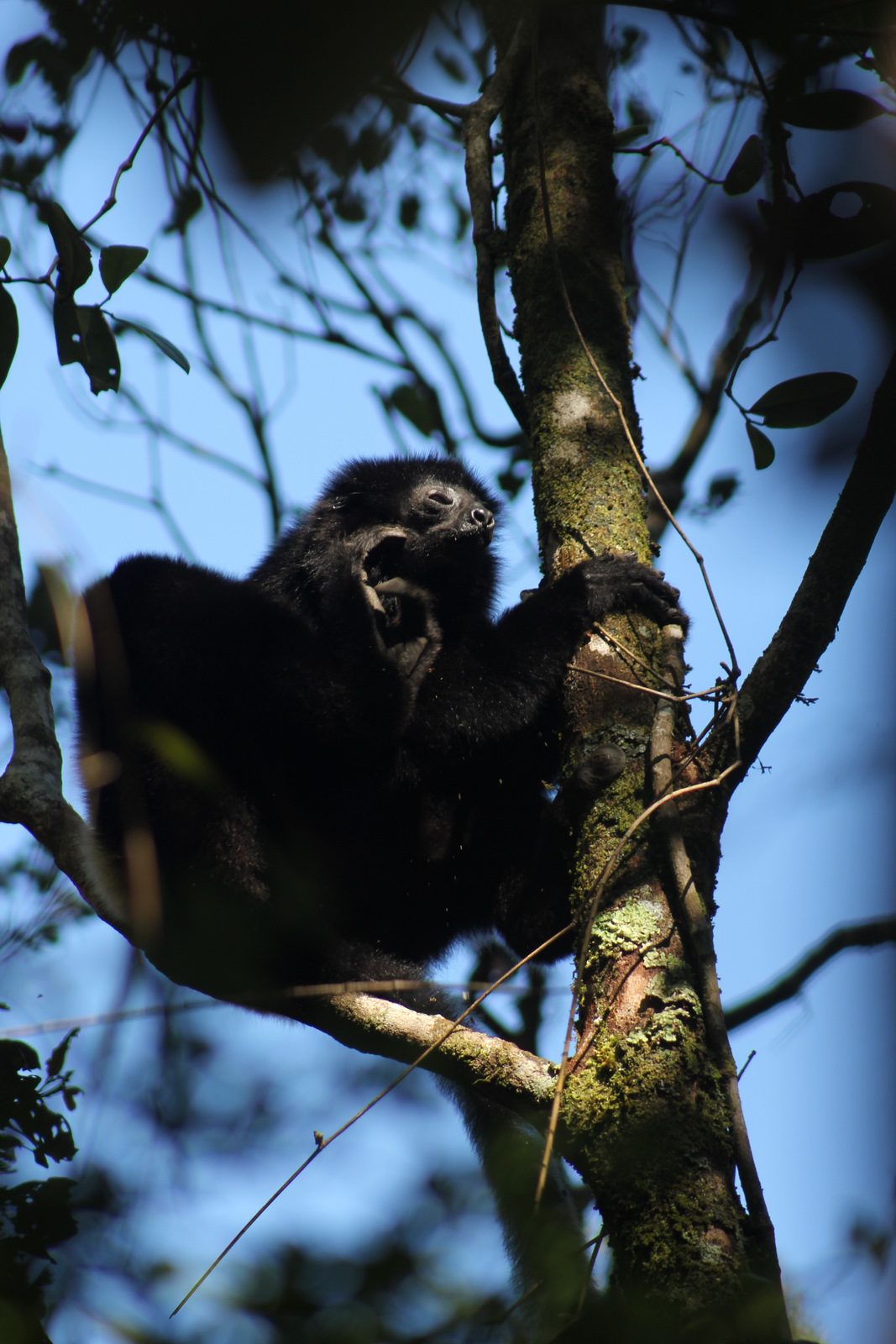 All The Live Long Day: Madagascar Honeymoon, Post #5: 17 to 18 April 2011