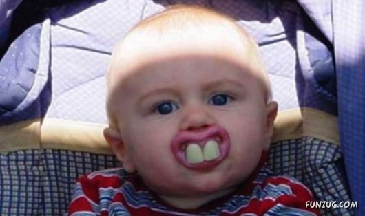 Laugh Over These Cool Funny Pics - My Wallpapers