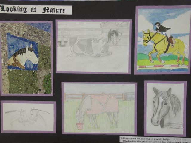 ART ROOM 109 : Junior Cert Art Project of the Year 2012
