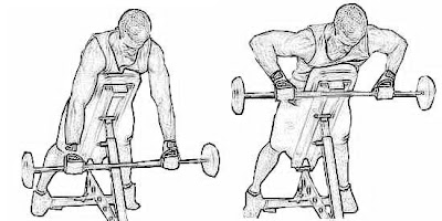 .Incline Bench Pull ~ Gym Excercise& Fitness Workouts