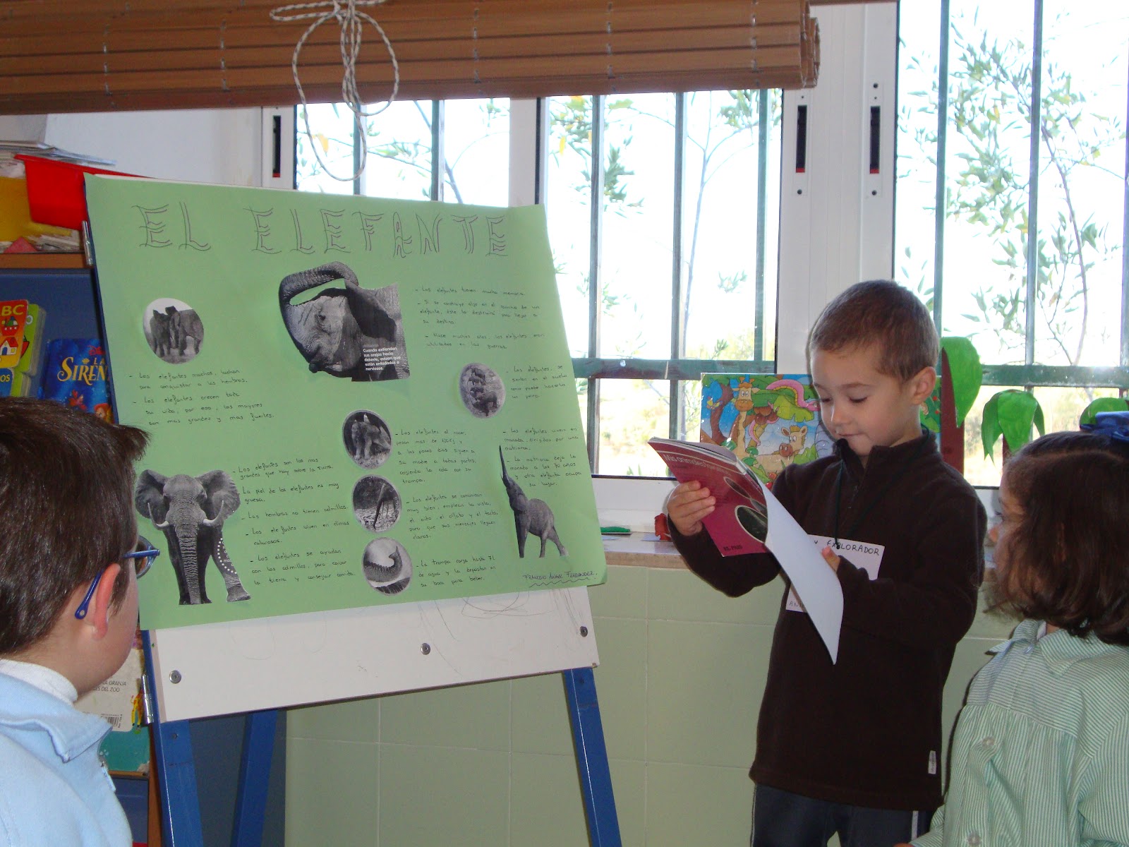 VICTORIA DIEZ. EDUCACIÓN INFANTIL 4 AÑOS: PROYECTO: ANIMALES SALVAJES