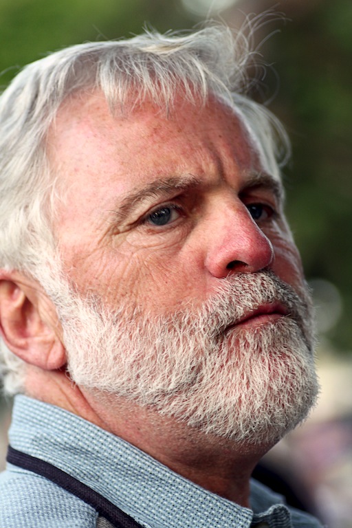 There's a Newf in My Soup!: Coronado Concerts in the Park - New England ...