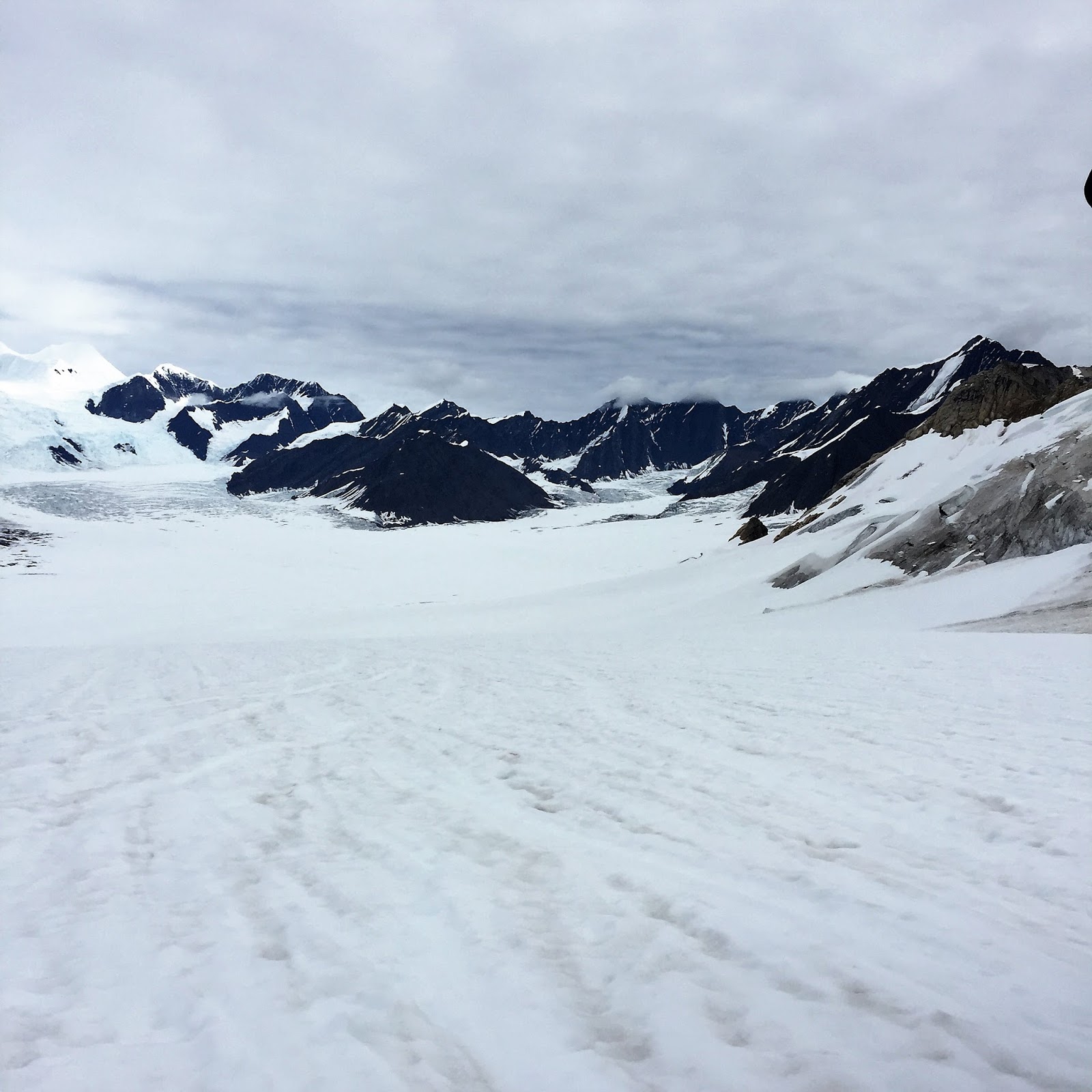 Souvenir Chronicles: ALASKA! TAKING A TAXI TO THE TOP OF DENALI AND ...