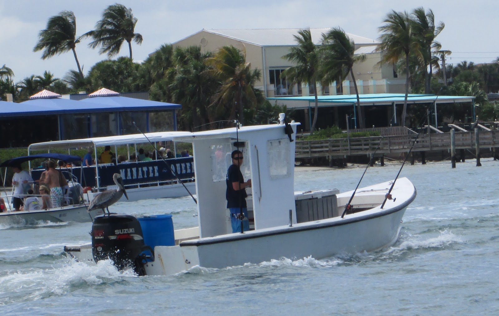 Adventures of Surona and DeJa Vu