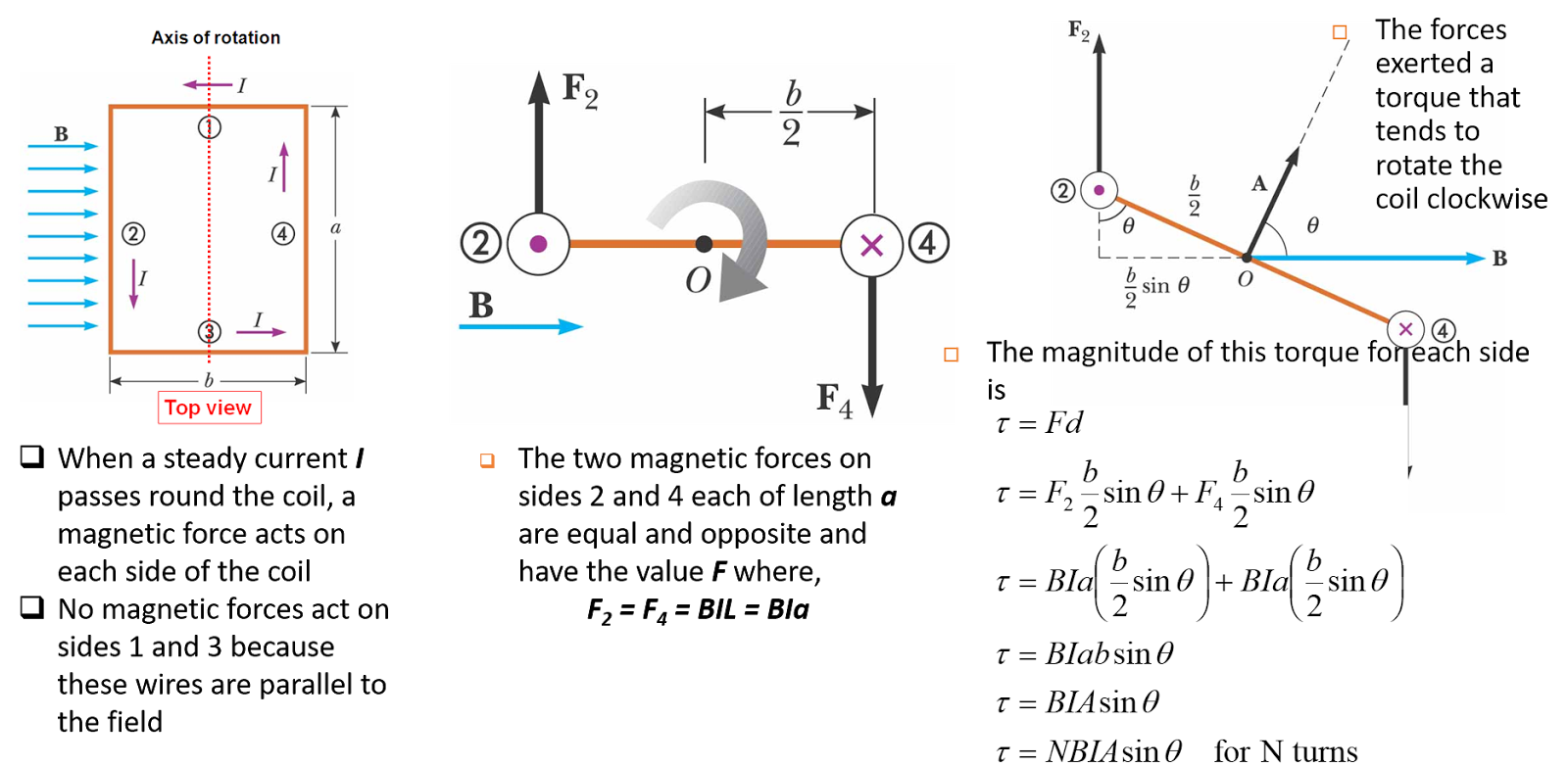 sf026_rohit: Magnetic Field 4/ Torque on a coils