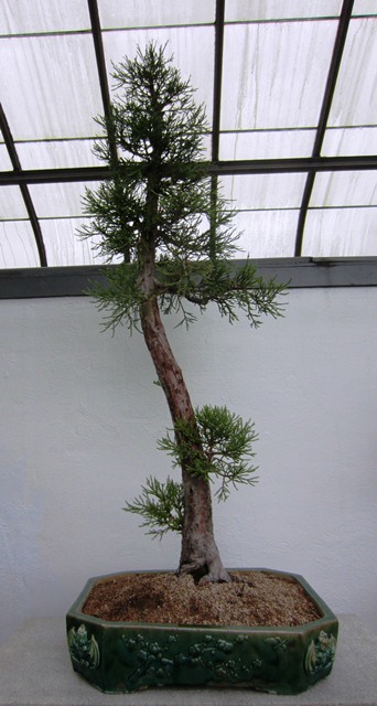 erica's garden: October 2012