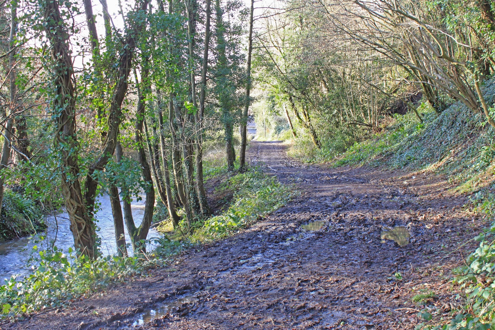 Captain Ahab's Watery Tales: Radford to Camerton - Somerset Coal Canal