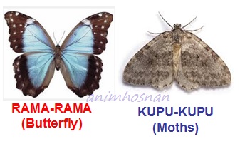 Anim Agro Technology: RAMA-RAMA (Part 1)