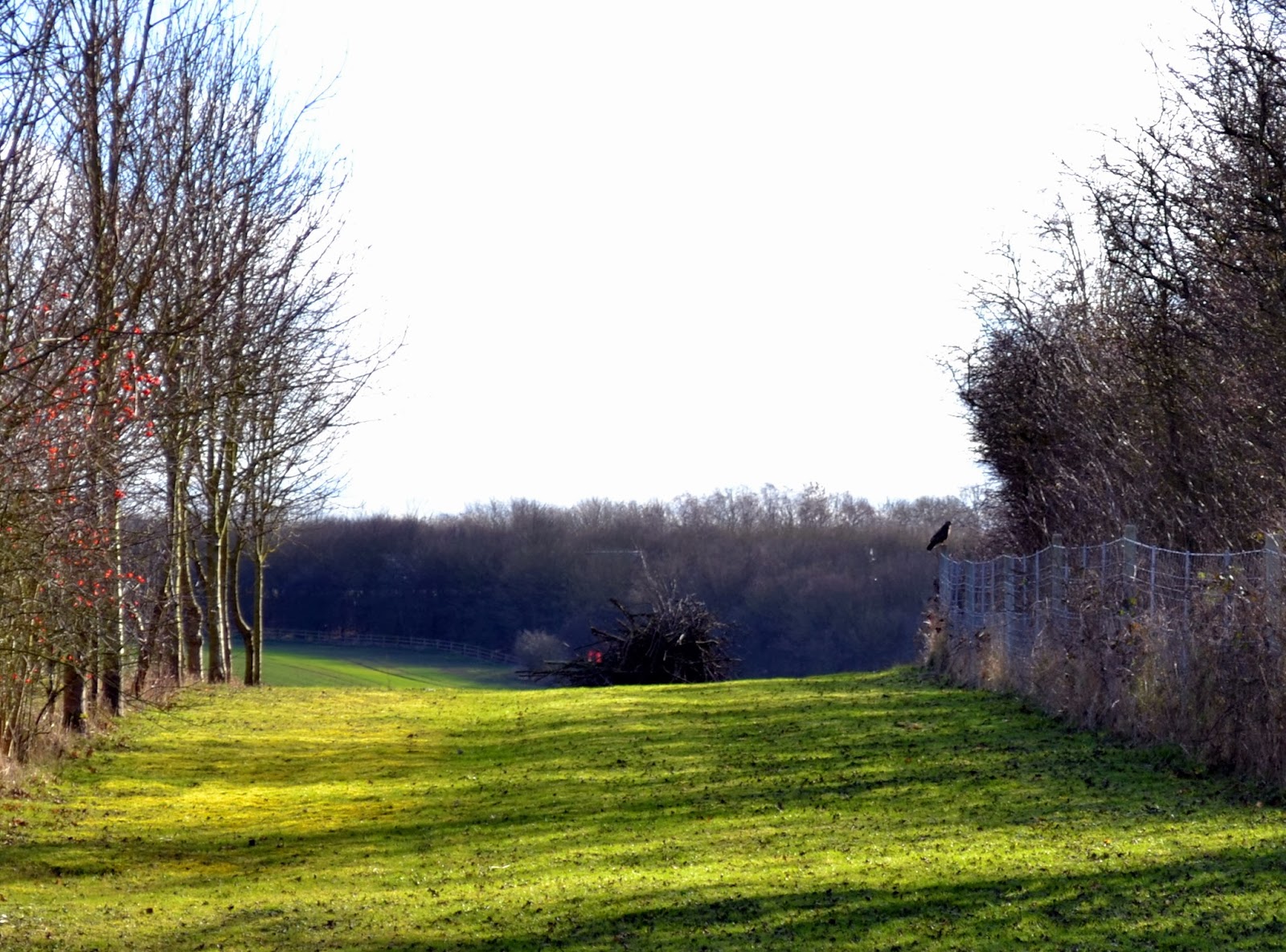 Today Around Coventry: Nettle Hill, Ansty