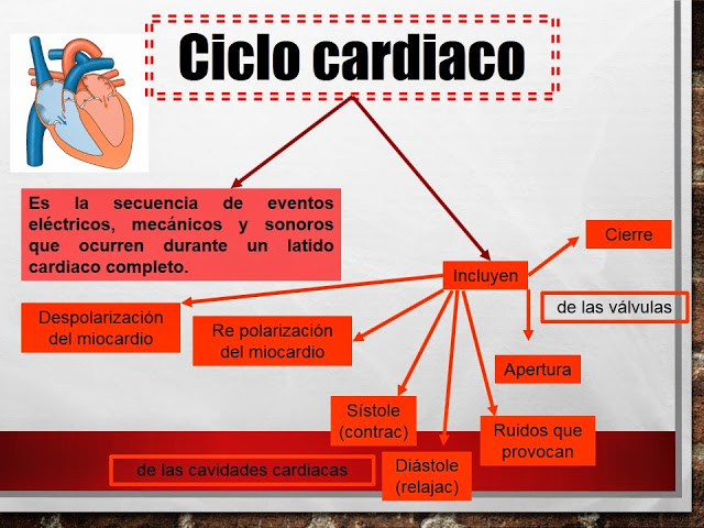 Fisiología Medica : Ciclo Cardíaco.El ciclo cardíaco es la secuencia de ...