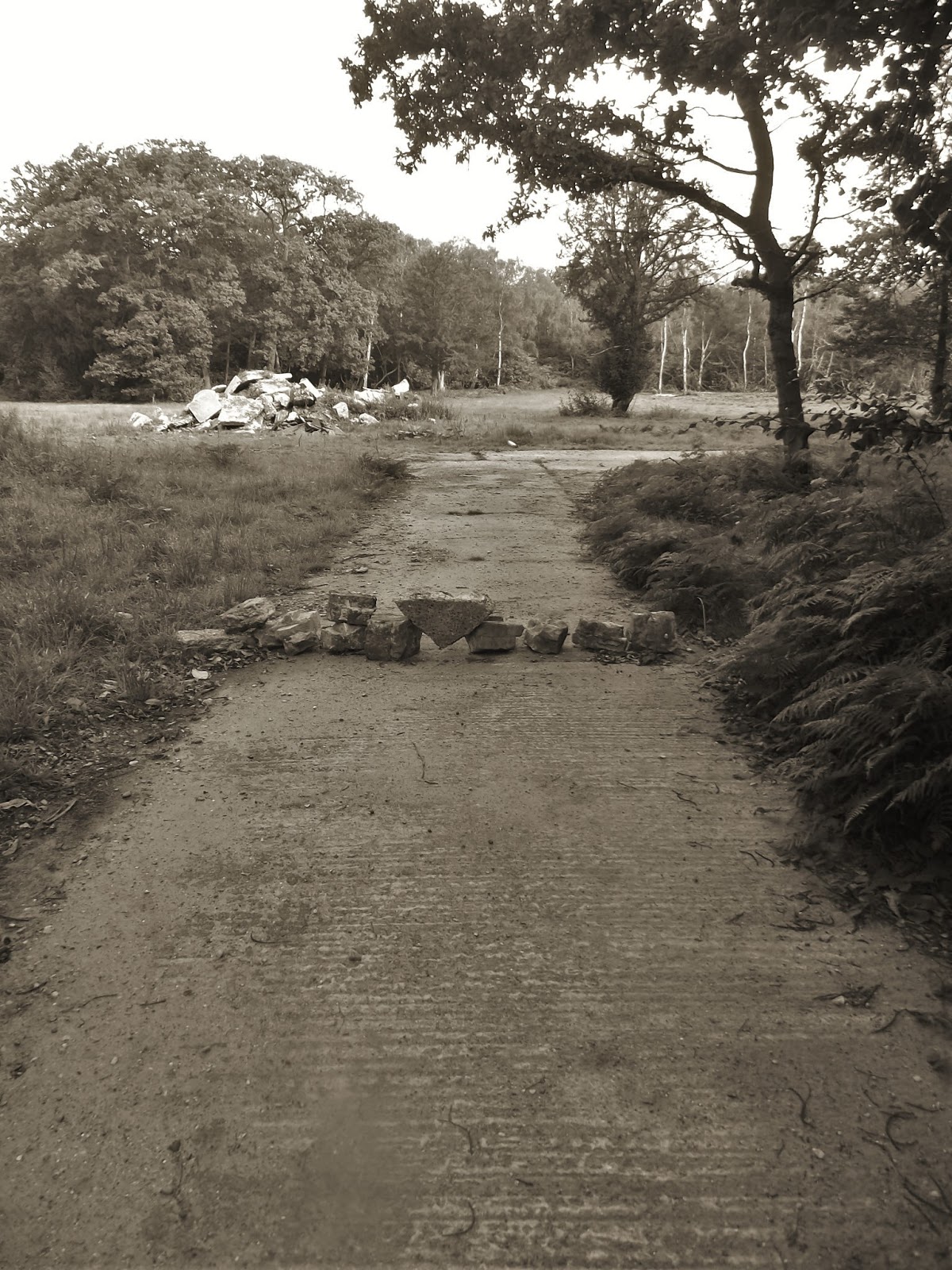 EastScapes: Poringland Towers