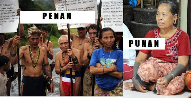 Cats City Hornbill Land: THE NOMADIC PENAN.....GUARDIAN OF THE FOREST