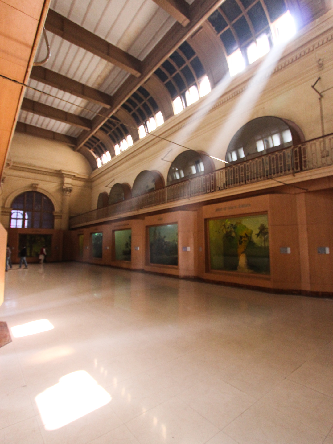 Hello Talalay: Indian Museum, Kolkata