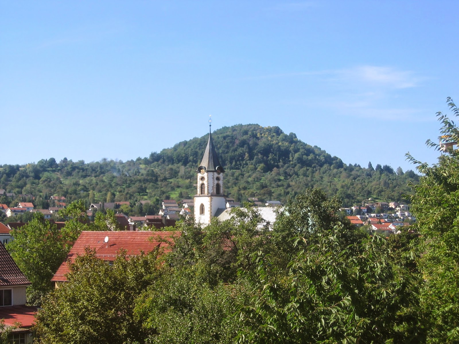 Pfullingen: Pfullingen 2009 (7): Martin und Georg