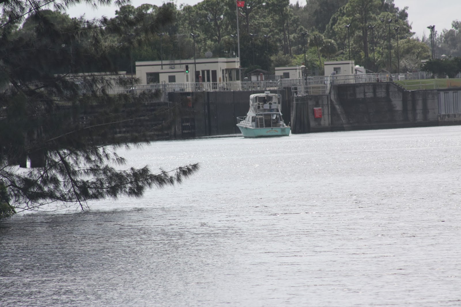 Meandering Joy: Locking through Florida