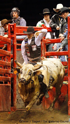 Dawn J. Sagert: Rodeo Time