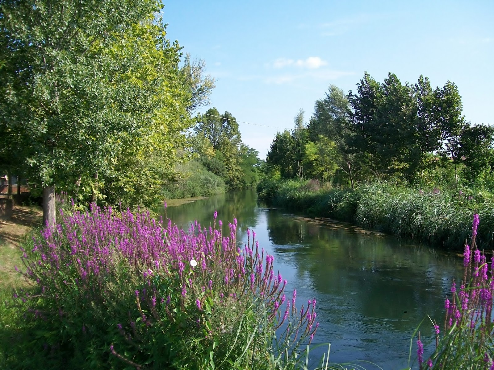 filodicristallo: Fiume Veneto Portobuffolè andata e ritorno :Fiume ...